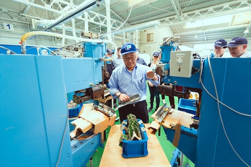 Kaizen Technology Solutions for Efficient Business Processes | Shinka ...